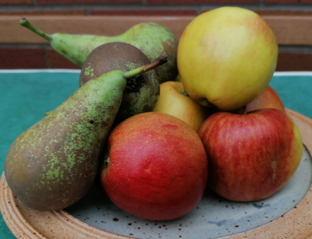 Nut Rissoles | Courses for Cooks